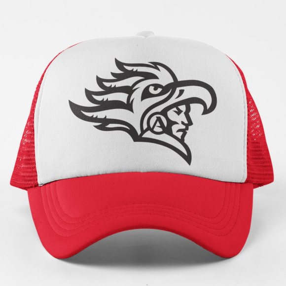 Team Fans | Accessories | New San Diego State Aztecs 202 Big Logo Foam ...